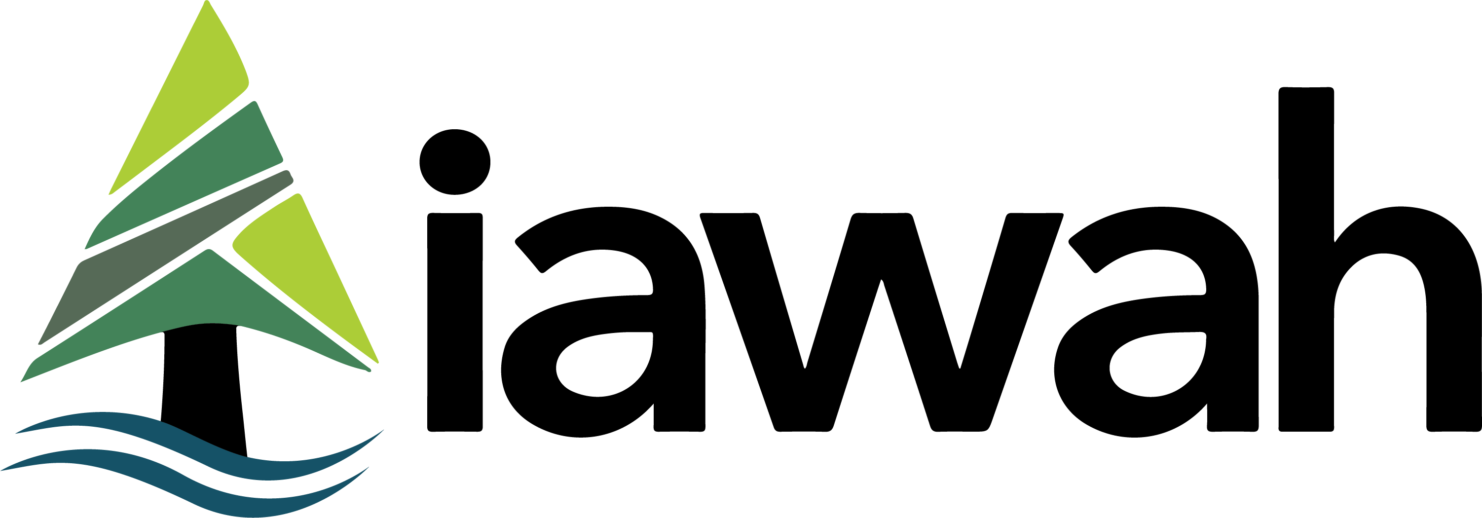 Youth Leadership Archives - iawah