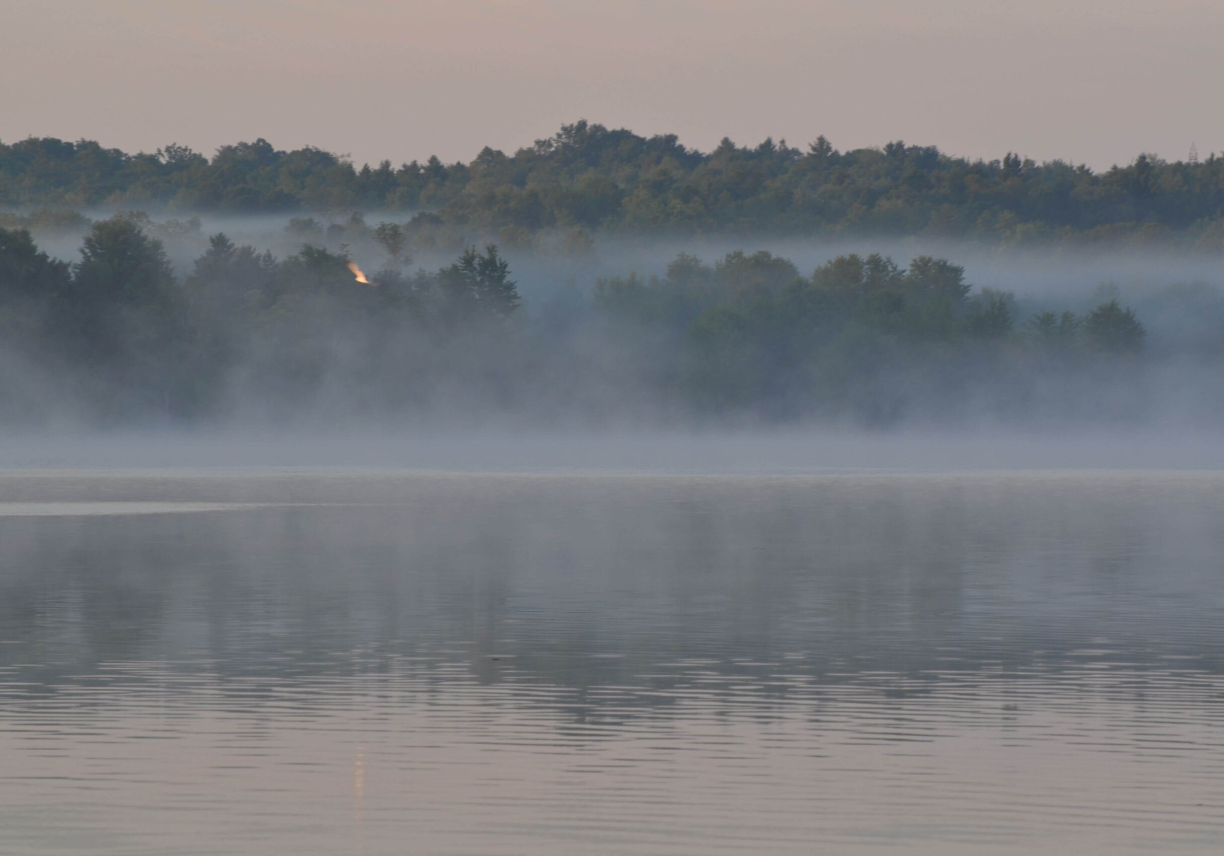 CREW Welcome - iawah